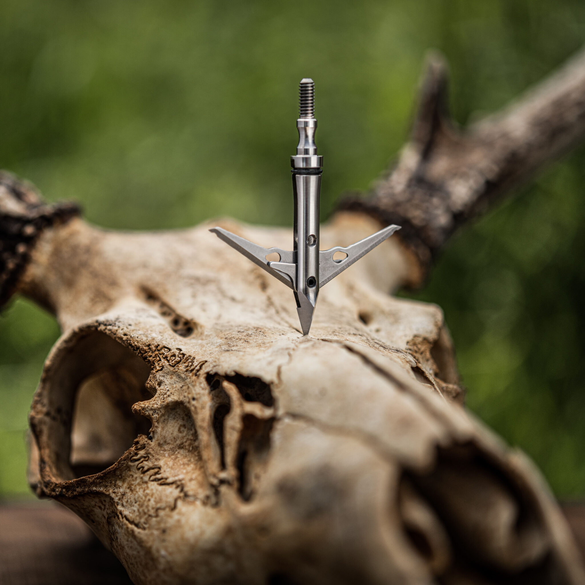 SEVR Wins Best Mechanical Broadhead of 2022 - Sevr Broadheads