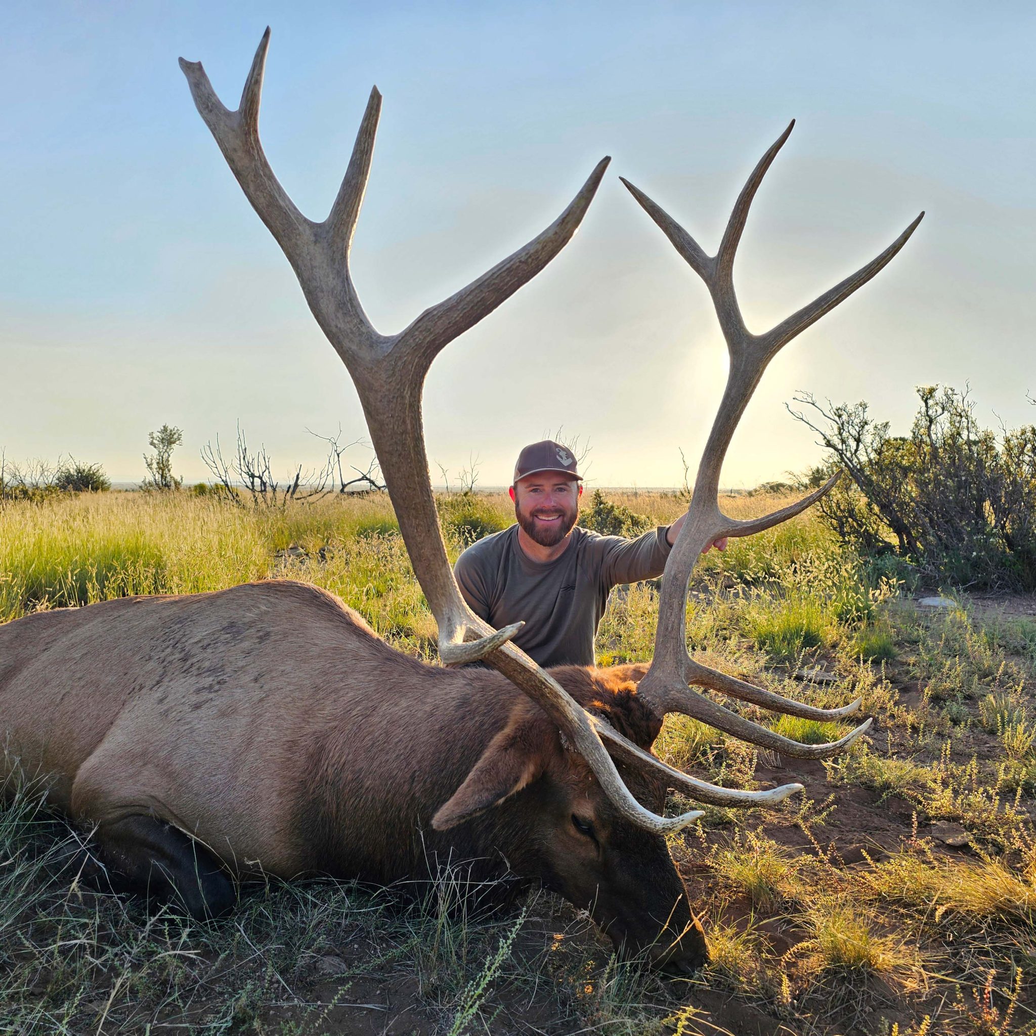 The Perfect Broadhead For Elk: Why the Ti 1.5 and the Ti Hybrid Are ...
