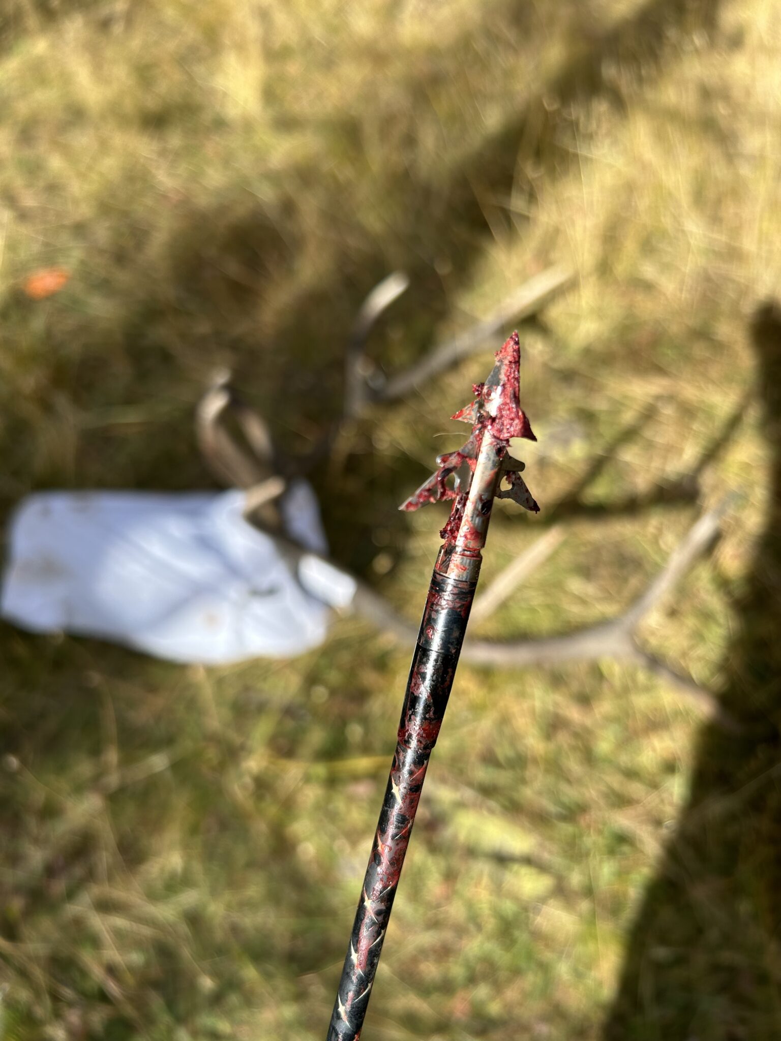 OTC Utah Elk 2024- SEVR Hybrid Hunt // - Sevr Broadheads