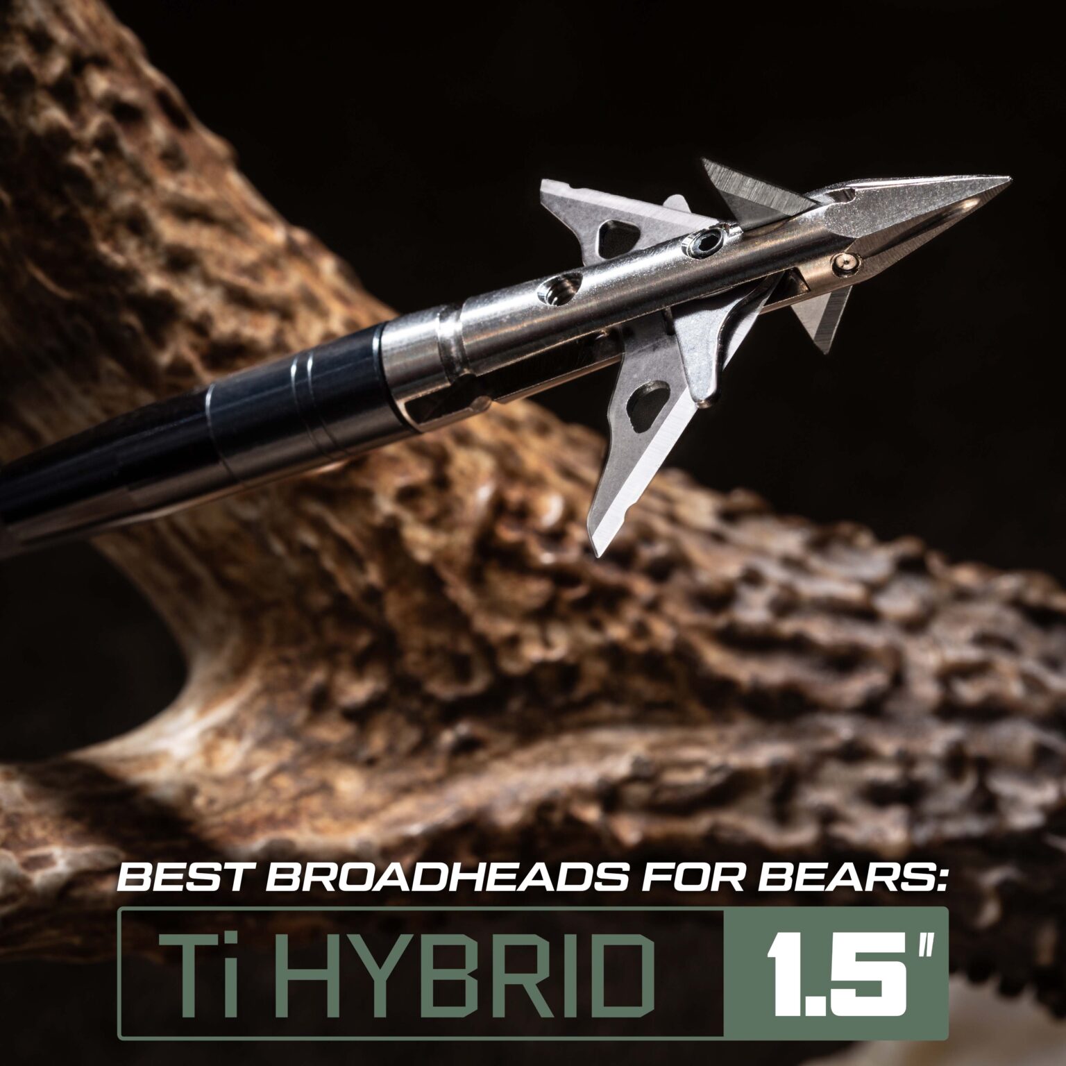 Best Broadheads For Bears: The Right Gear Makes All The Difference ...
